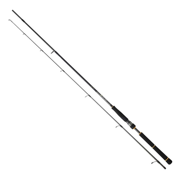 Daiwa BG Sea Bass Spinning Rod - Rok Max