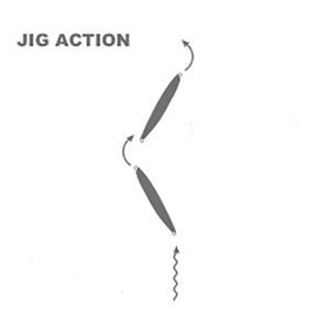 Major Craft Jigpara Ikanago Vertical Jig - Rok Max